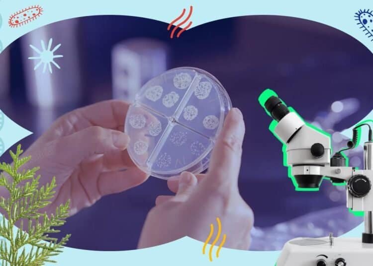 101 Chemistry Trivia Questions To Reveal if You Belong in the Lab ...