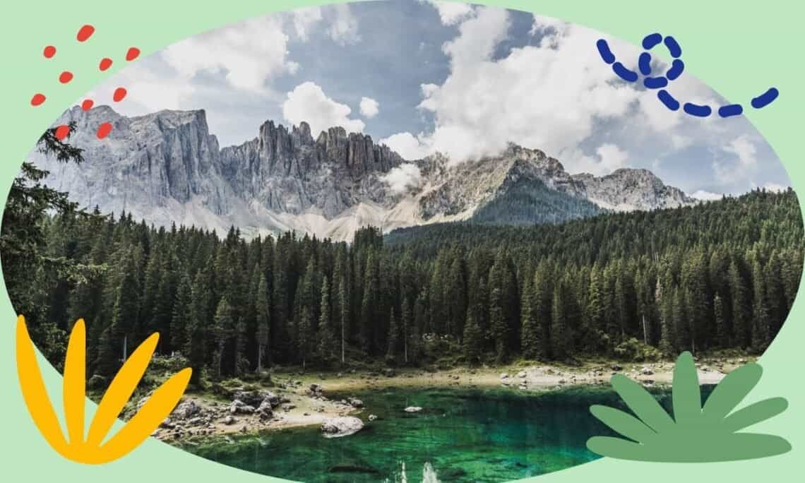 Nature Trivia: Explore Wild Wonders & Fun Facts